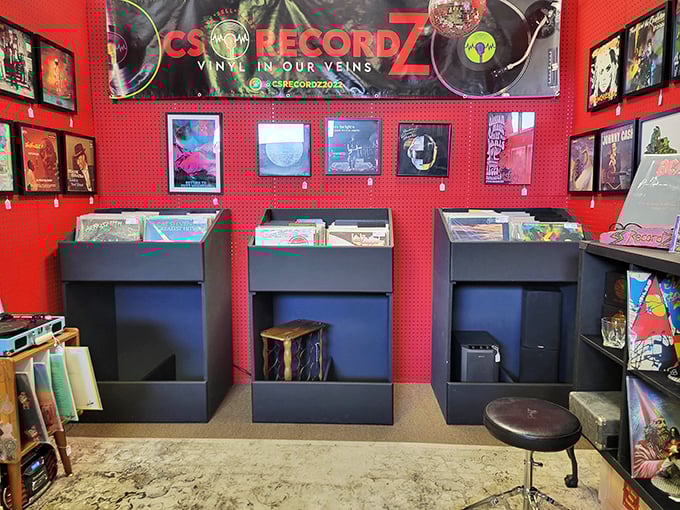 The record store within a store glows red-hot with musical possibilities. Vinyl hunters know: the best tracks are always in the last bin.