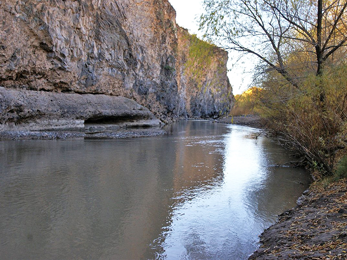 The Gila River carved this canyon over millennia, creating a serene waterway that feels miles away from desert expectations.