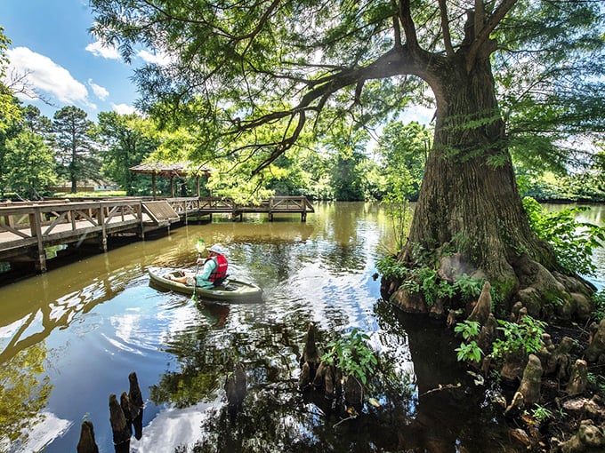 The gentle waters around Newport provide both recreation and reflection, where kayaking costs less than a therapy session but might accomplish the same thing.