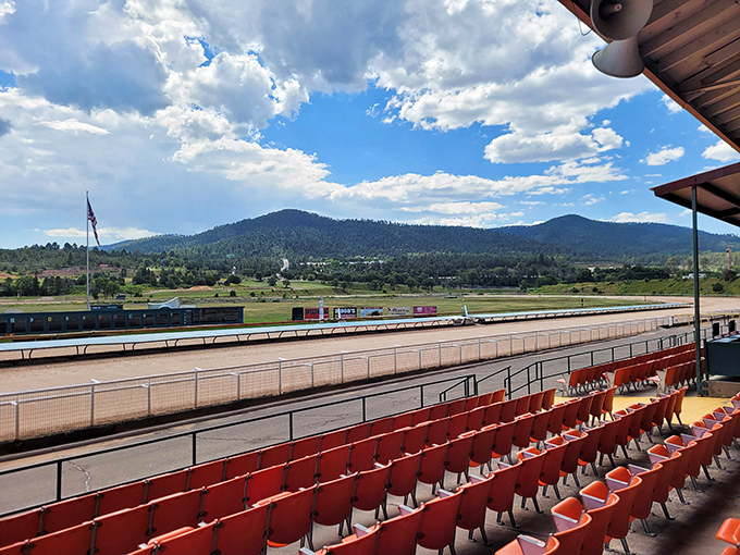 Horse racing with a view! At Ruidoso Downs, even if your horse doesn't win, those mountain vistas make everyone feel lucky.