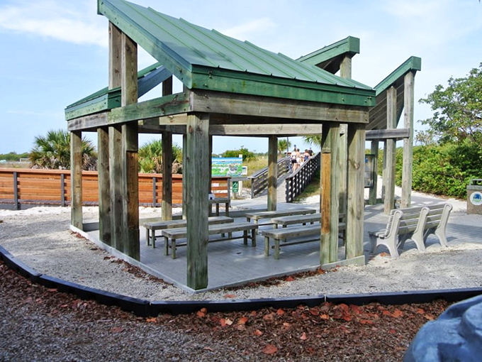 "Let's do lunch" takes on new meaning. These picnic shelters offer front-row seats to nature's greatest show while keeping your sandwich sand-free.