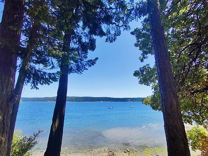Between these trees lies the promise of Sequim Bay&mdash;where the water is so blue it looks like nature's Photoshop job.