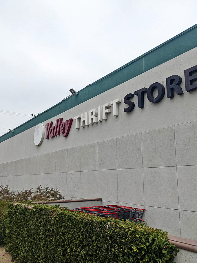 The iconic Valley Thrift Store sign, where those red shopping carts below stand ready for your imminent treasure-hunting expedition.