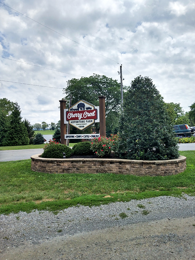 The entrance sign stands like a rural Hollywood marquee, announcing attractions that don't require special effects to create genuine wonder.