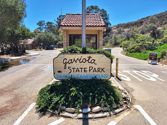 The entrance sign promises beach and campground, and unlike most promises in life, this one delivers spectacularly on both.