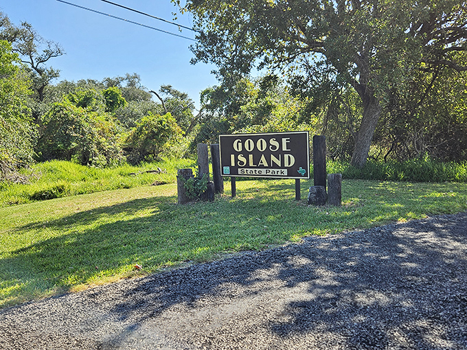 The unassuming entrance sign belies the natural wonders waiting beyond, standing sentinel among the coastal oaks that give this special place its character.