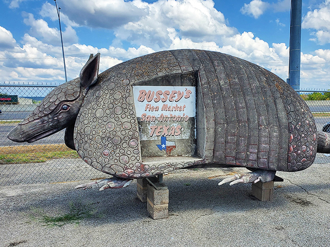 The iconic armadillo sign welcomes visitors to Bussey's&mdash;Texas charm in sculptural form, complete with the state's unofficial mascot.