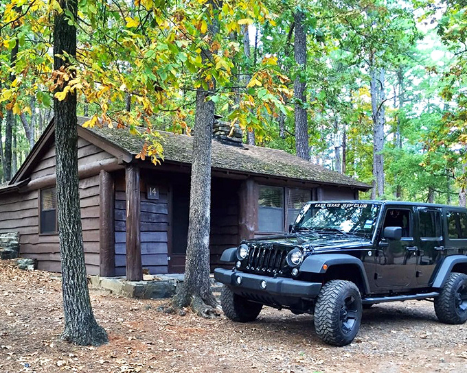 This cabin doesn't need five stars or turndown service to be perfect. Just add coffee, sunset, and someone who doesn't talk during movies.