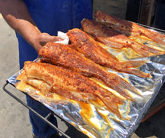 Fried calamari with cocktail sauce, tender and golden, ready to convert the skeptics into believers immediately.
