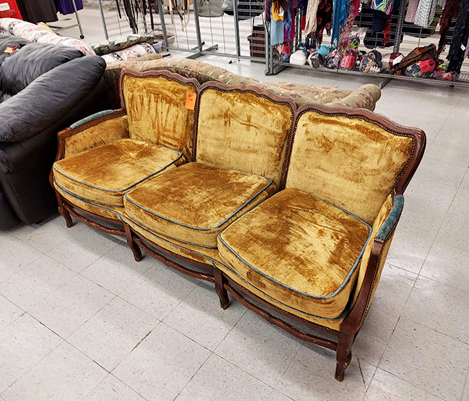 This gold velvet sofa has stories to tell. It's seen cocktail parties, family movie nights, and now awaits its next chapter.