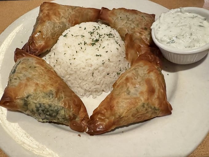 Spinach pies that would make Popeye weep with joy, surrounded by perfectly cooked rice and tzatziki sauce for dipping adventures.
