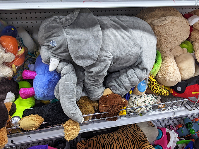 The stuffed animal section, where this elephant clearly rules the jungle. He's seen better days but has more love to give than most brand-new toys.