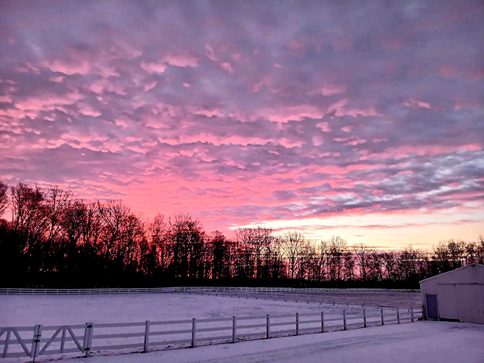 Cotton candy skies at day's end. This sunset view proves that Ohio can deliver celestial spectacles worthy of the most dramatic western landscapes.