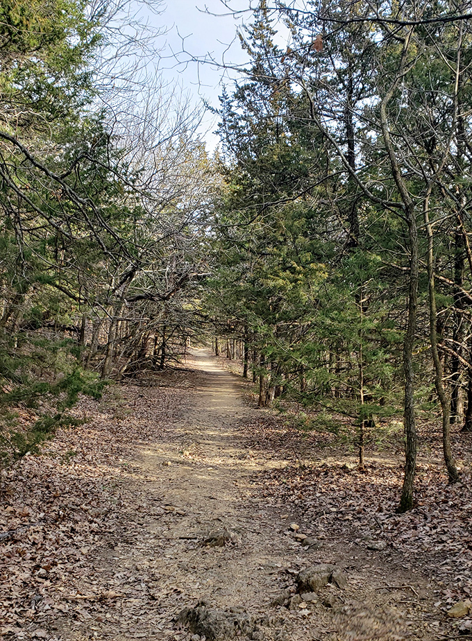 Sunlight filters through trees along Table Mound Hiking Trail, where the only traffic is the occasional squirrel rushing to a meeting.
