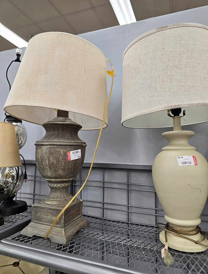 Lighting that won't leave your wallet in the dark. These elegant lamps could easily command triple the price at home d&eacute;cor boutiques.