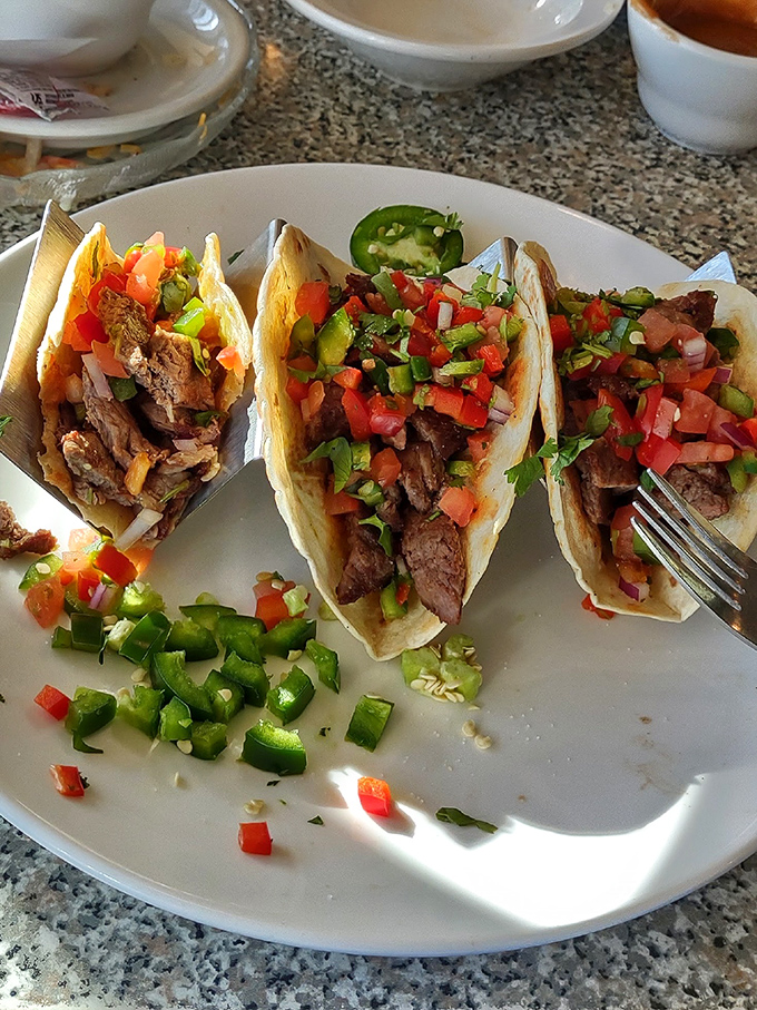 Tacos that don't need a Tuesday to be special. Fresh, vibrant, and ready for their close-up.