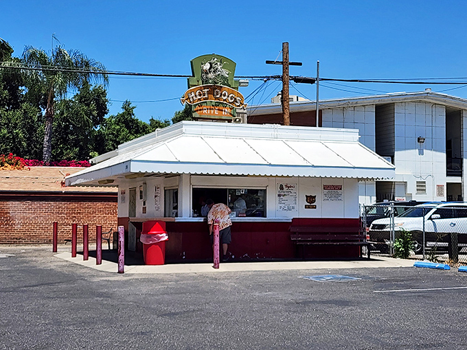 Taylor Brothers Hot Dogs stands as a testament that sometimes the most memorable culinary experiences come in the most unassuming packages. 