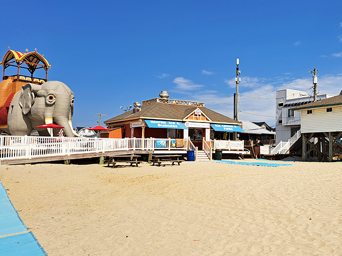 Lucy watches over beachside eateries where hungry visitors refuel after touring America's favorite architectural pachyderm. Sand, surf, and elephant views included.
