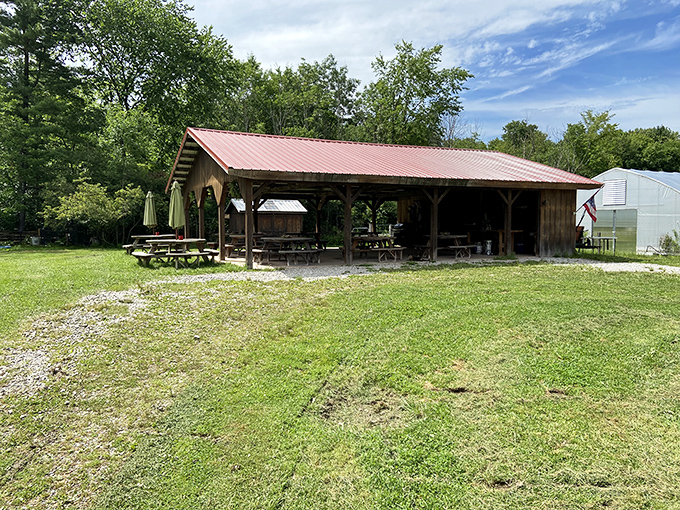 This rustic pavilion at The Spicy Lamb Farm practically begs for a community gathering &ndash; just add friends, food, and stories that grow taller with each telling.