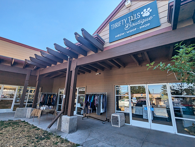 Thrifty Tails Boutique &ndash; where mountain town practicality meets unexpected charm. Even the shopping here feels like an outdoor adventure.