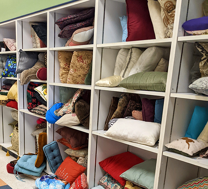 Pillow heaven for the indecisive decorator! This cushion collection offers instant home makeovers without the designer price tag&mdash;from floral classics to contemporary pops of color.