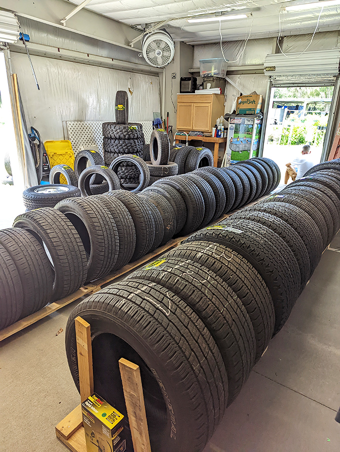 Tire kingdom! The rubber graveyard where your next set of wheels waits patiently. One man's road trash is another's highway treasure.