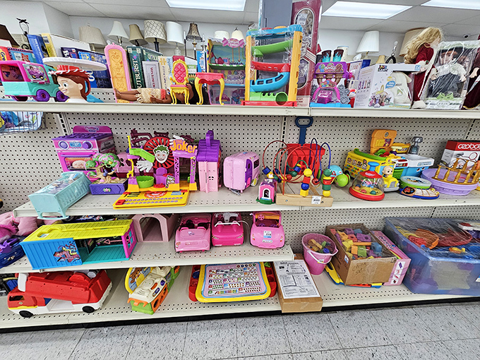 Toy paradise where childhood dreams cost pocket change instead of credit card nightmares, and nostalgia comes standard with every purchase.