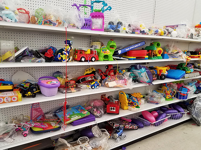 Toy wonderland stretches endlessly, where childhood dreams and parental budgets finally make perfect sense together.