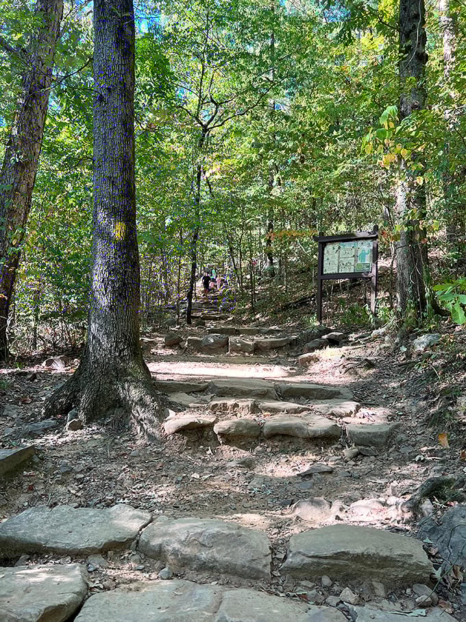 These stone steps have heard thousands of "are we there yet?" questions and witnessed countless "wow" moments at the summit.