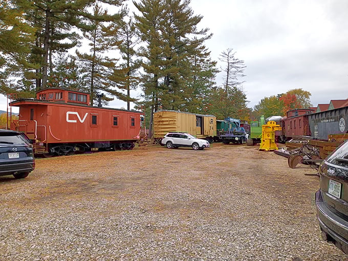 A colorful collection of vintage cabooses and cars awaits restoration. Each one holds stories of journeys past, patiently waiting to roll again.