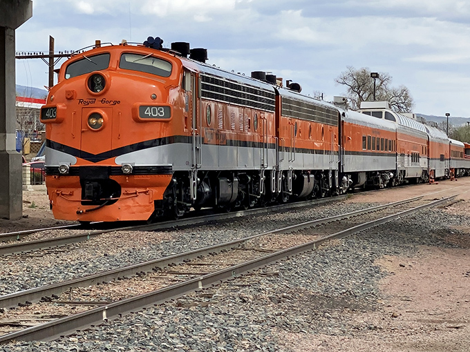 The distinctive orange and silver locomotive stands ready for departure—like a well-dressed tour guide eager to show off its favorite scenic route.