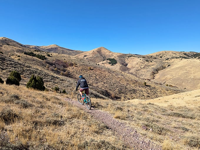 Mountain biking in Pocatello means trading traffic jams for dirt trails and office views for sweeping vistas that no corner office could match.