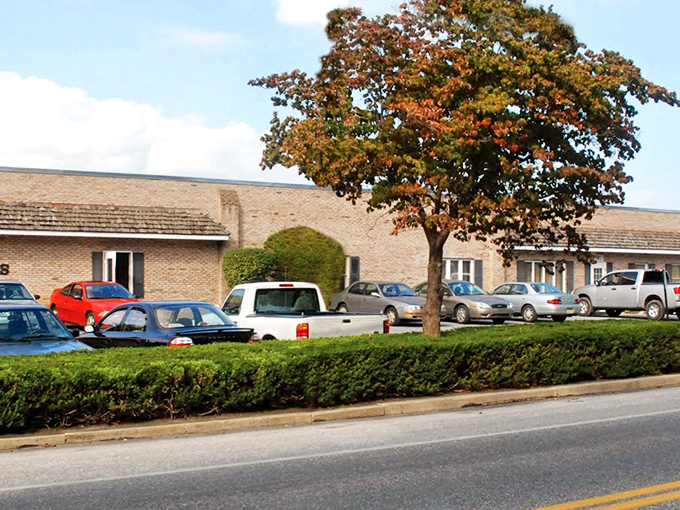 Even the parking lots here have more charm than most city blocks could ever dream of.