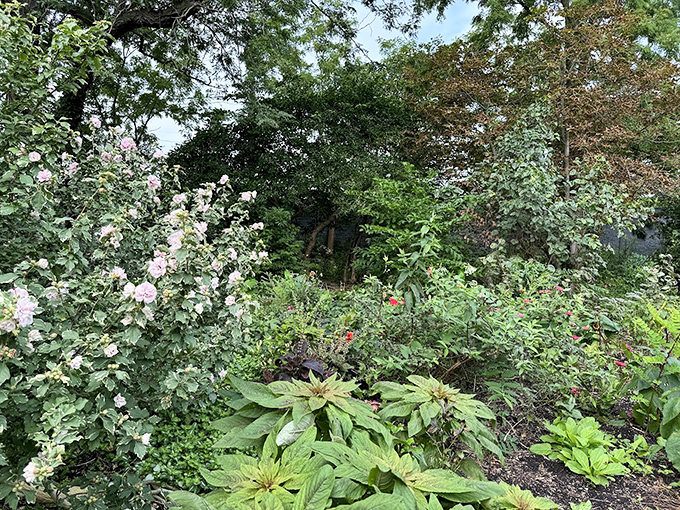 Nature's layered symphony: from ground-hugging hostas to towering trees, this garden understands that good design is all about vertical interest.