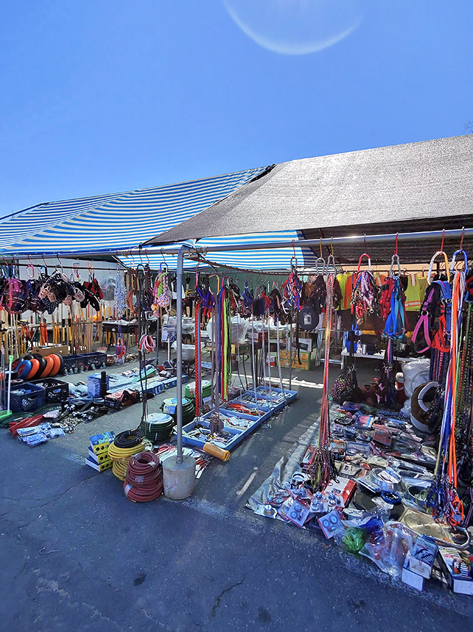 Under blue tarps and California sunshine, this vendor's eclectic collection of pet supplies and household tools creates a hardware store without walls.