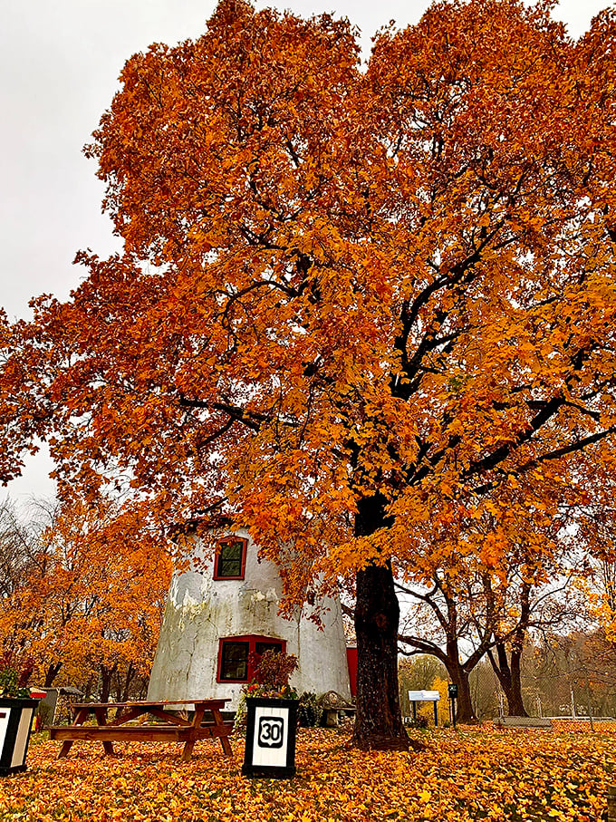 Fall foliage creates nature's perfect frame, the vibrant orange leaves complementing The Coffee Pot's silver body and red trim in a seasonal celebration.