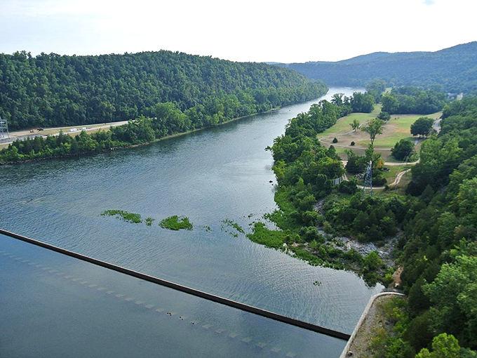 The White River winds through the Ozark hills like a blue ribbon on a perfect package. Mother Nature showing off her gift-wrapping skills.
