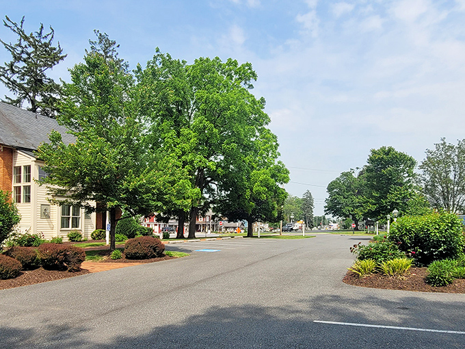 Tree-lined streets and thoughtful landscaping create the kind of neighborhood where you'd happily trade your GPS for getting pleasantly lost.