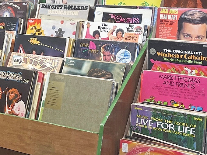 Vinyl treasure trove where The Smothers Brothers and Marlo Thomas wait to be rediscovered. Digital streaming can't capture that warm, crackling nostalgia.