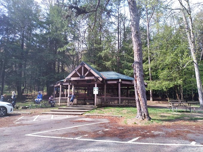 The visitor pavilion offers a civilized pause before or after communing with nature. Where hiking stories grow taller with each retelling.