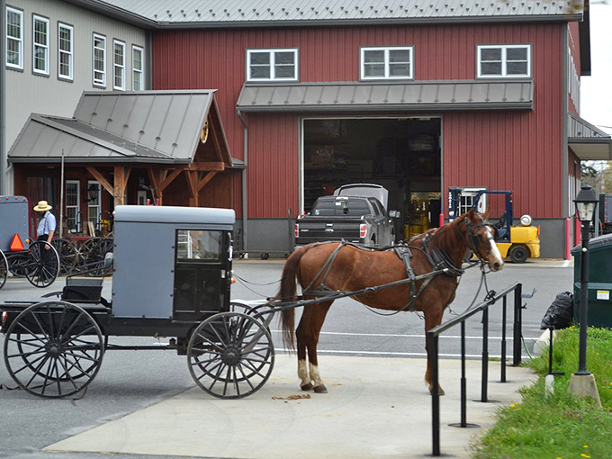 The original Amazon fulfillment center&mdash;horse-powered delivery included. This workshop serves the community with transportation solutions that never need software updates.