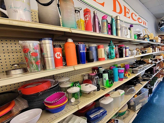 The water bottle graveyard: where hydration vessels of every color wait for their second chance. That orange one definitely attended a corporate retreat in 2018.