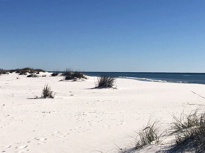 Nature's zen garden stretches to the horizon. Sea oats dance in the breeze while footprints tell stories of wanderers seeking peace.
