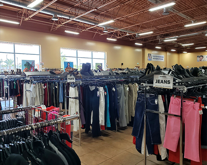 Ceiling-high organization meets endless variety, where finding your size is half treasure hunt, half Olympic sport event.