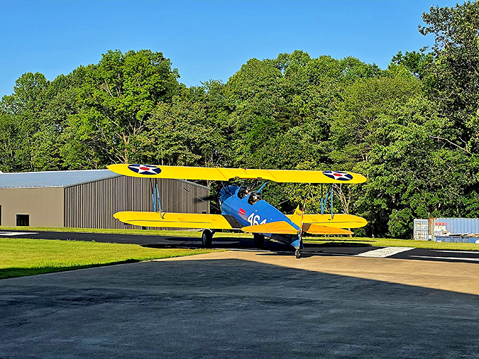 This cheerful yellow biplane seems ready to leap into the blue West Virginia sky, offering bird's-eye views that Instagram filters can't improve.