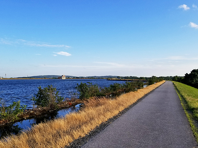 The William M. Redd, Jr. Park trail offers waterside serenity that makes your daily step count feel less like exercise and more like a mini-vacation.