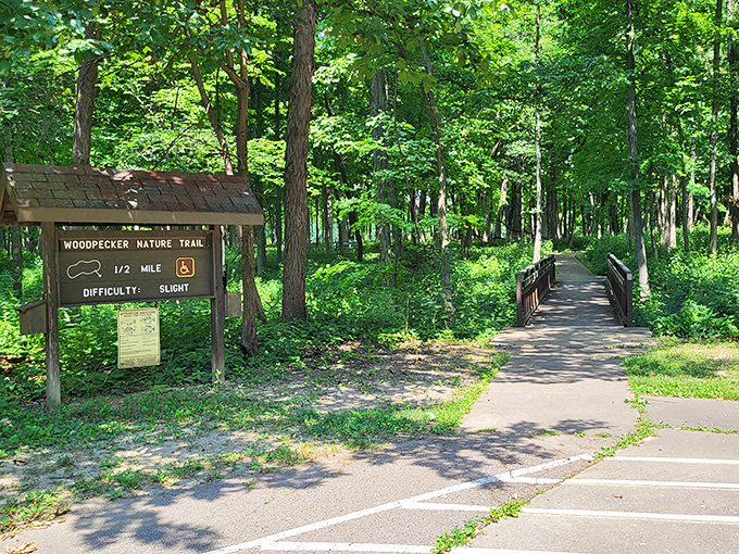 Woodpecker Nature Trail promises half-mile adventures without requiring a personal trainer's supervision.