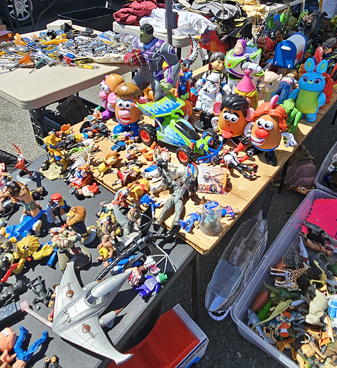 Action figure collectors find their paradise here, where childhood heroes wait patiently for new adventures at reasonable prices.