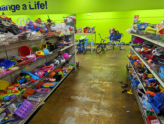 Toy aisle treasure hunt&mdash;where plastic dinosaurs and forgotten action figures await adoption by the next generation of imaginative minds.