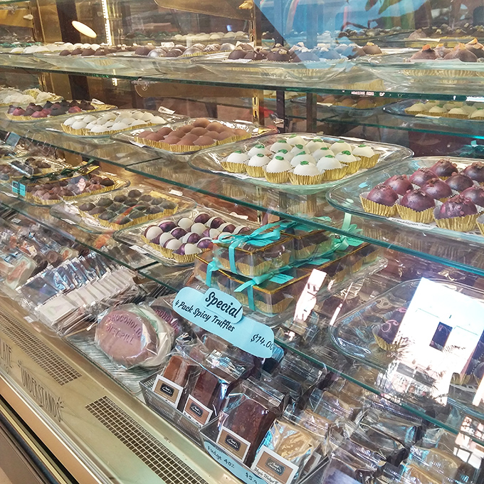 A glass case of sweet temptation. These chocolate treasures aren't just desserts—they're the reward for surviving three hours of shopping decisions.